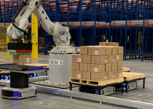Automated Warehouse Systems | BlueSkye Automation